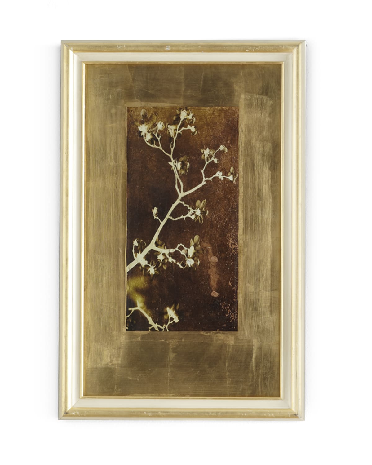 John-Richard Collection "Fern I" Shadow Box Display | Horchow
