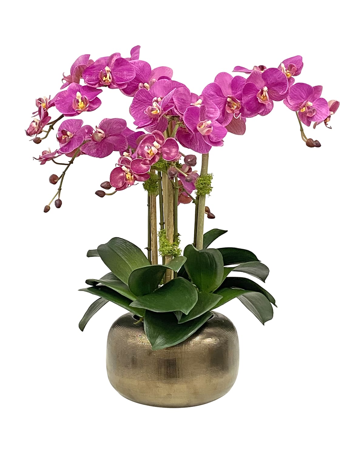 Winward Home Cymbidium Orchid in Cache Pot | Horchow