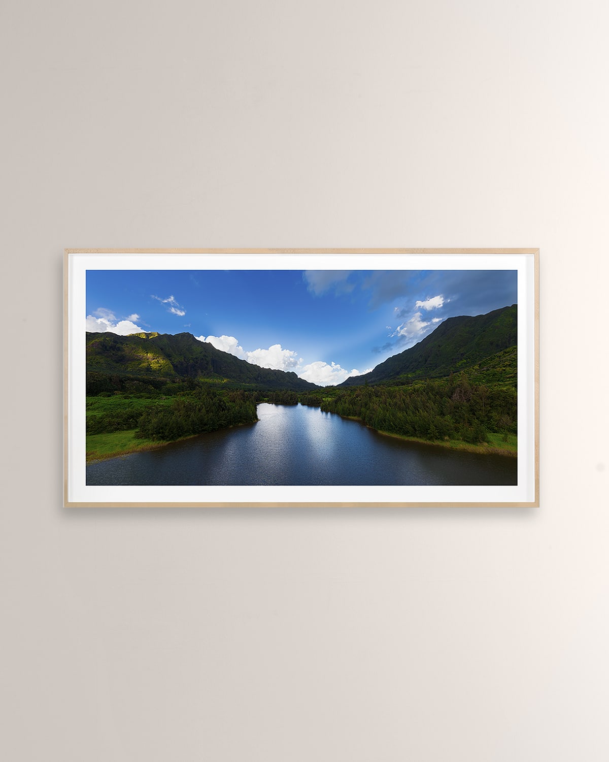 Grand Image Home "Blur Expansion 8" Framed Print by Renee Stramel, 60 ...