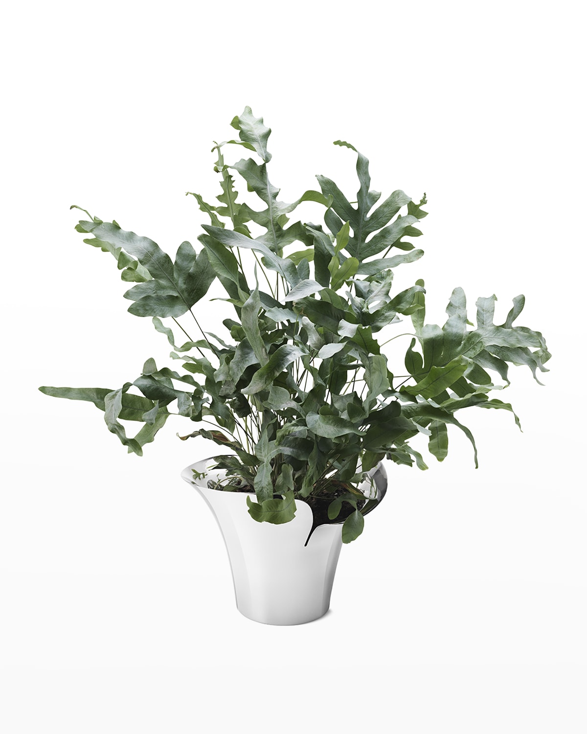 Georg Jensen Bloom Botanica Large Stainless Steel Flower Pot | Horchow