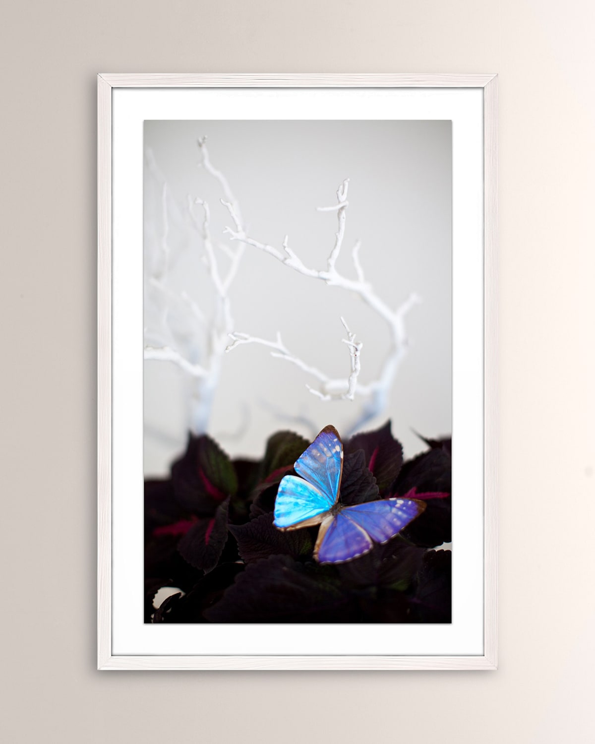 Four Hands "Jade Elephants" Framed Giclee by Sarah Edwards | Horchow