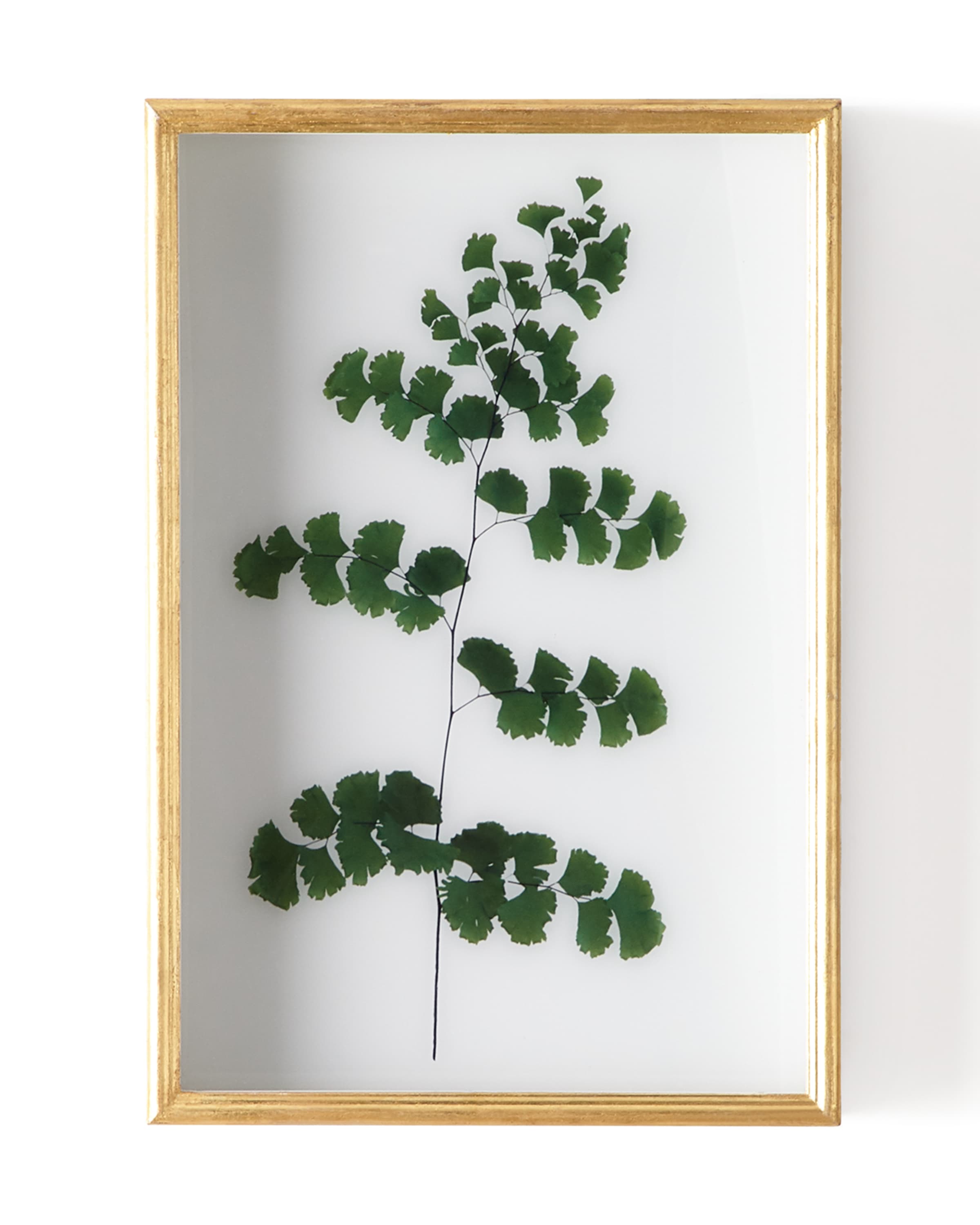 John-Richard Collection "Fern" Shadow Box Displays & Matching Items ...