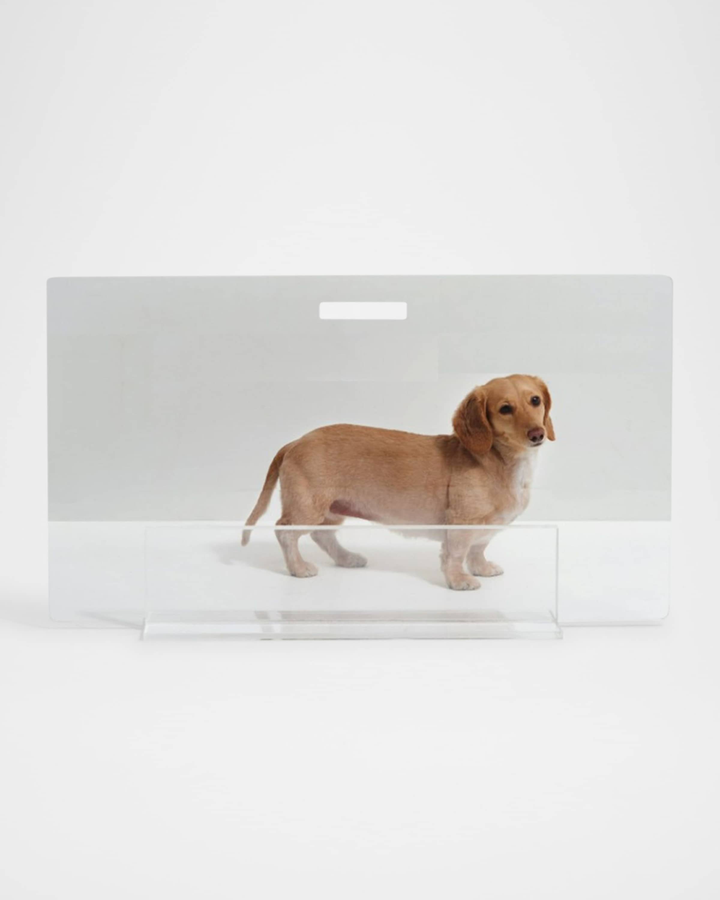 HIDDIN Low Clear Pet Gate Panel Collection & Matching Items | Horchow
