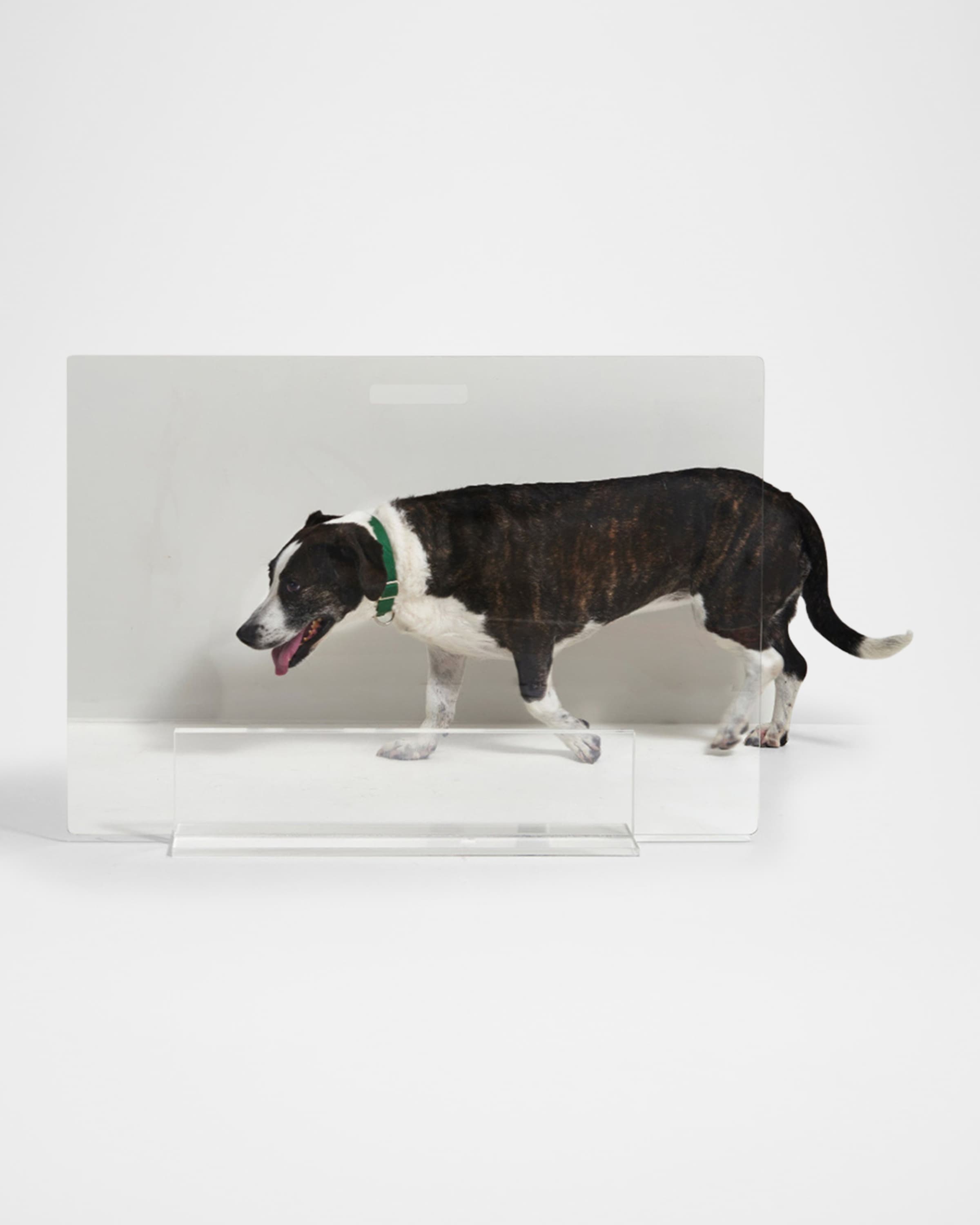 HIDDIN Low Clear Pet Gate Panel Collection & Matching Items | Horchow