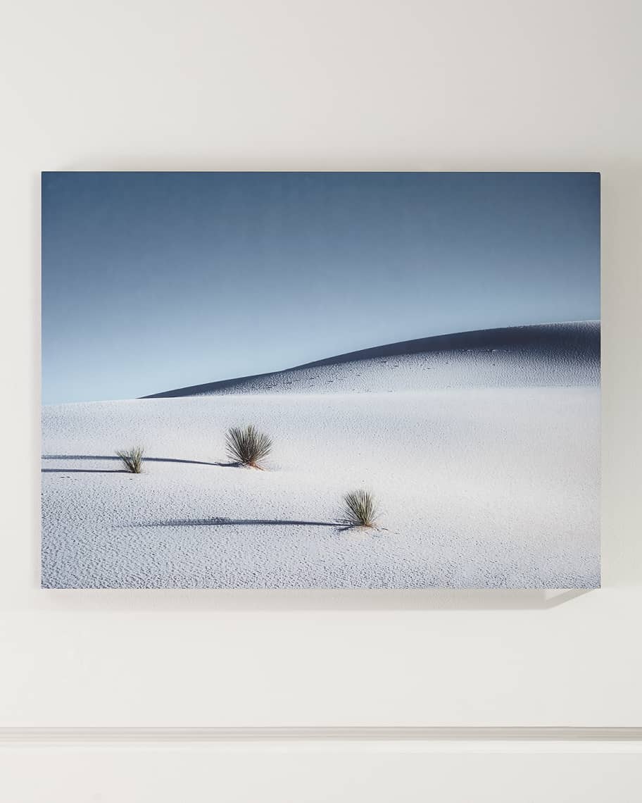 Four Hands "Texas Road Trip" Photography Art Print on HD Metal w ...