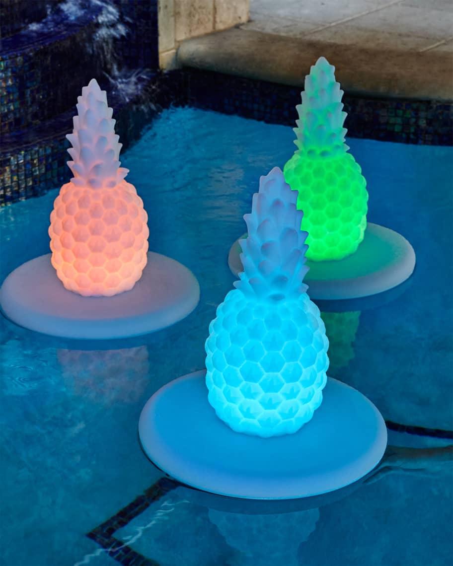 LED Pineapple
