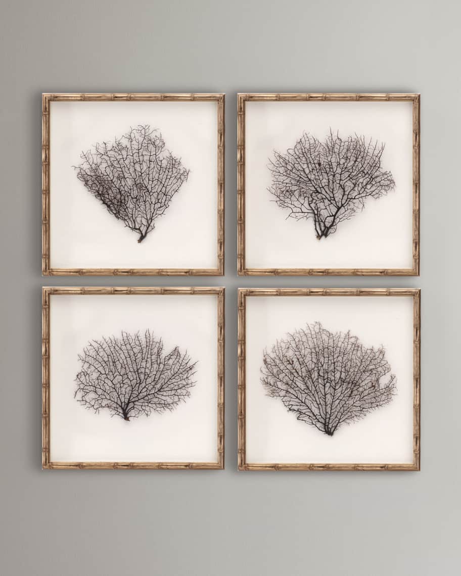 Mirror Home Framed Sea Fans, 4-Piece Set | Horchow