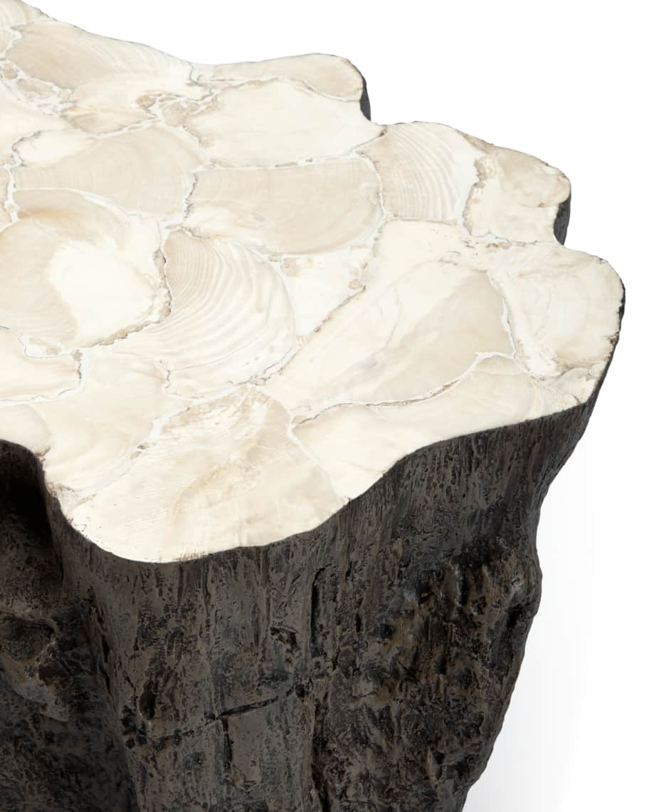fossilized clam shell coffee table