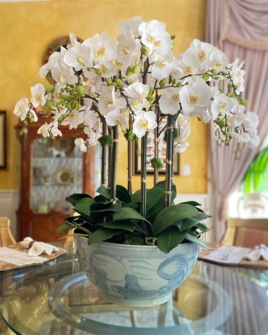 orchid ceramic