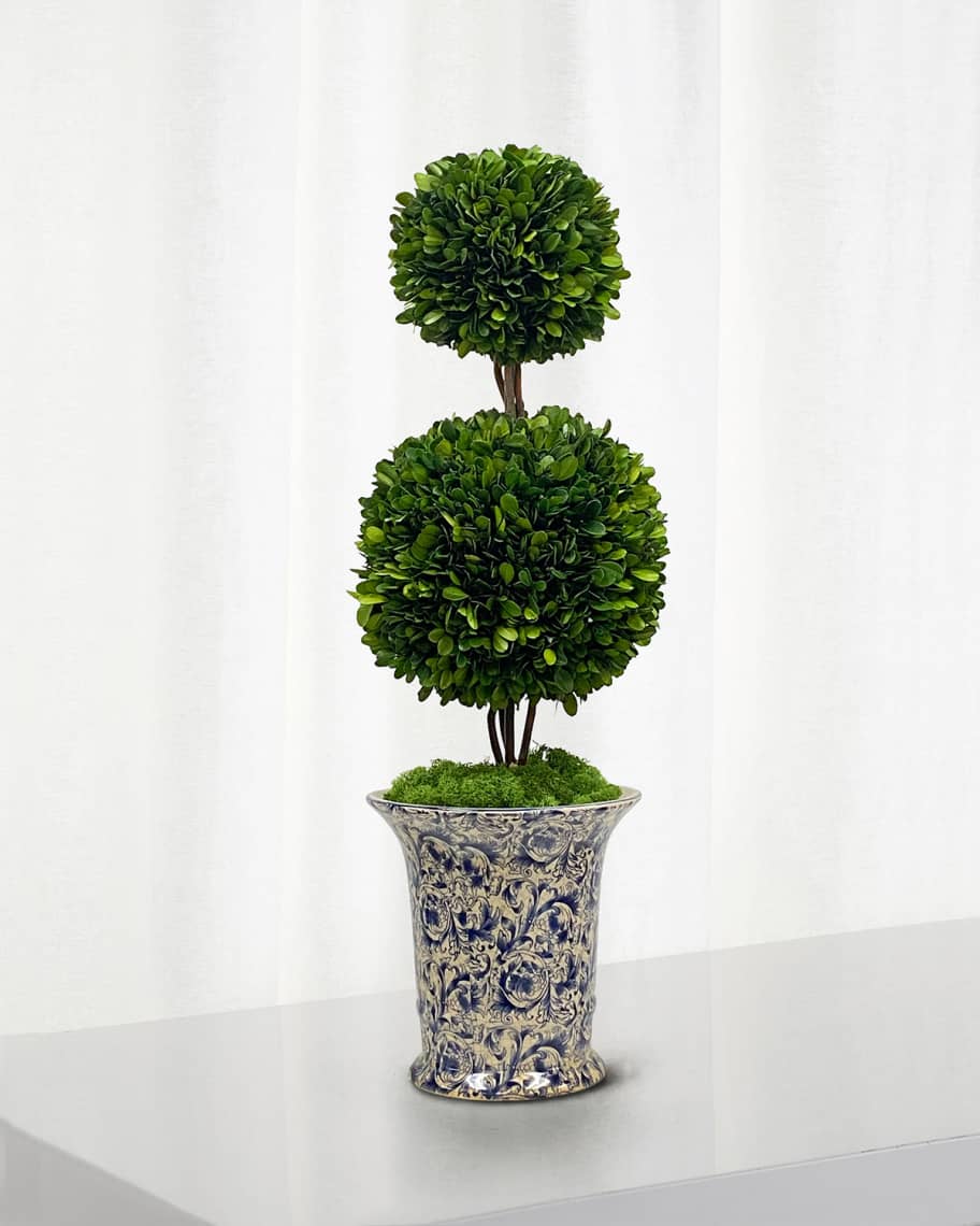 Winward Home Preserved Double Ball Topiary In Porcelain Vase - 25.5 ...