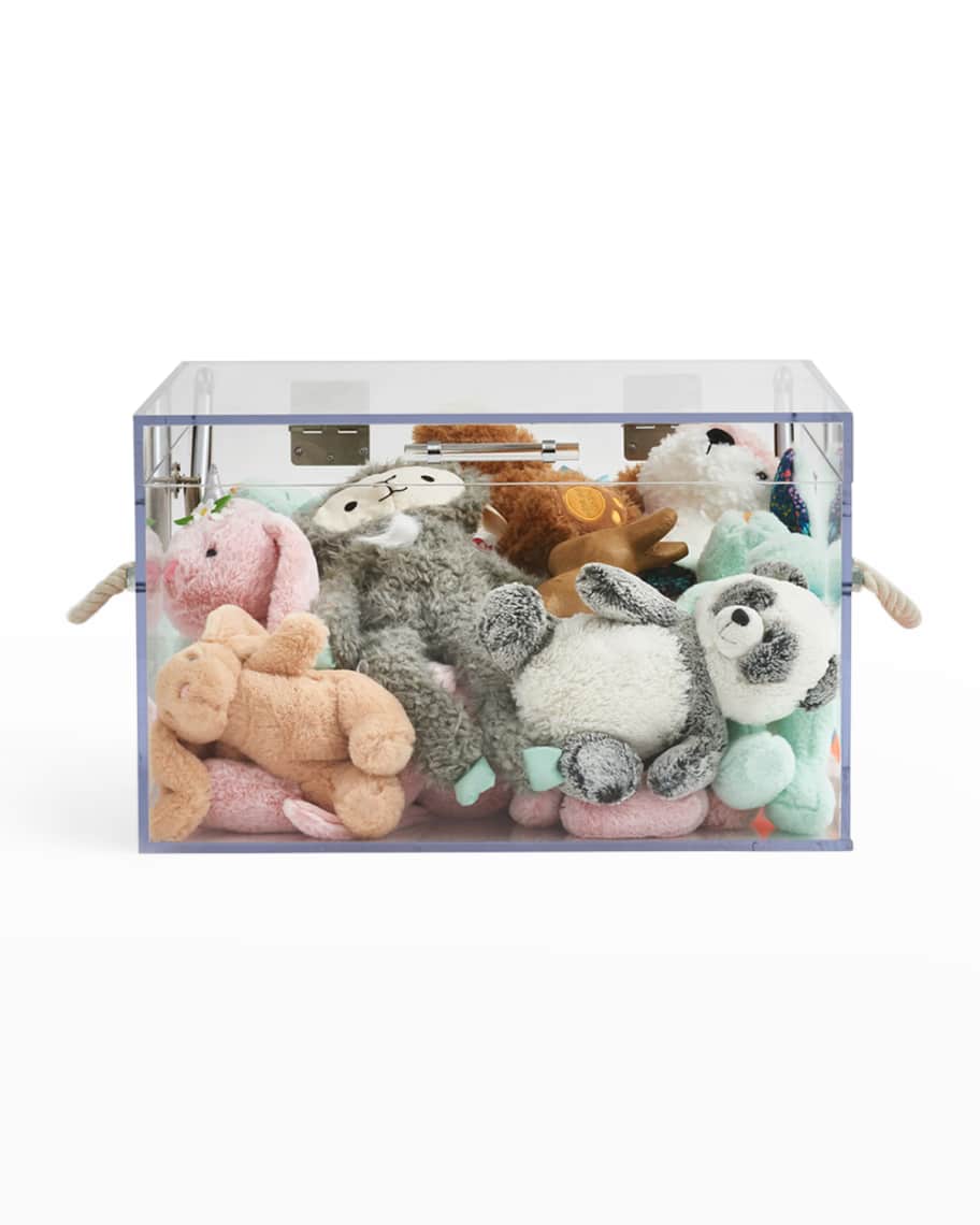 HIDDIN Clear Storage Trunk with Rope Handles, Rectangle | Horchow