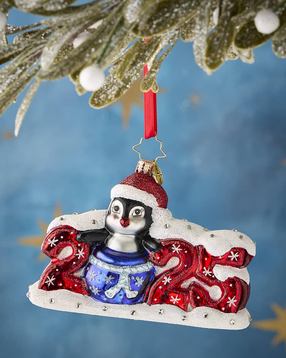 Christopher Radko 2025 Frosty Flipper Countdown Christmas Ornament ...