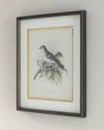 John-Richard Collection "Antique Birds III" Print | Horchow