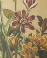 "Paradise" by Jackie Von Tobel Wall Art Collection & Matching Items ...