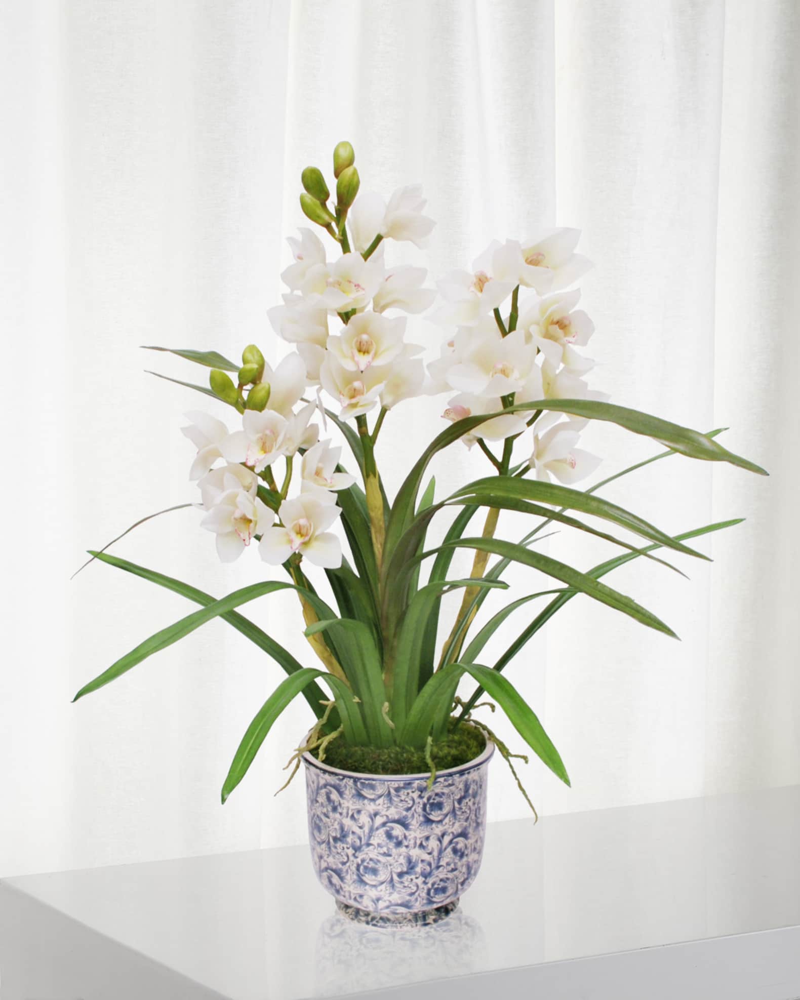 Winward Home Cymbidium Orchid in Cache Pot | Horchow