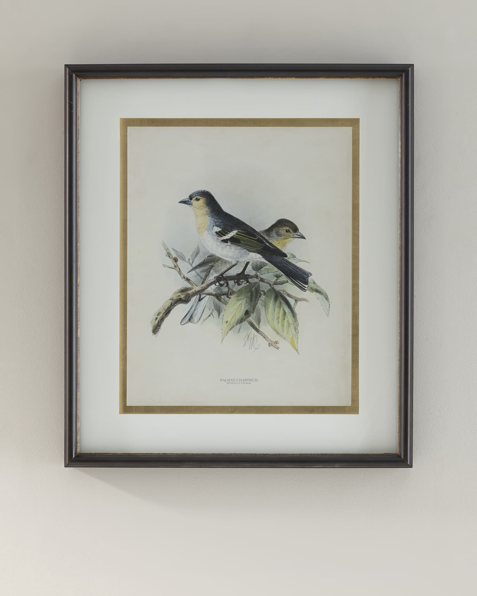 John-Richard Collection "Antique Birds III" Print | Horchow