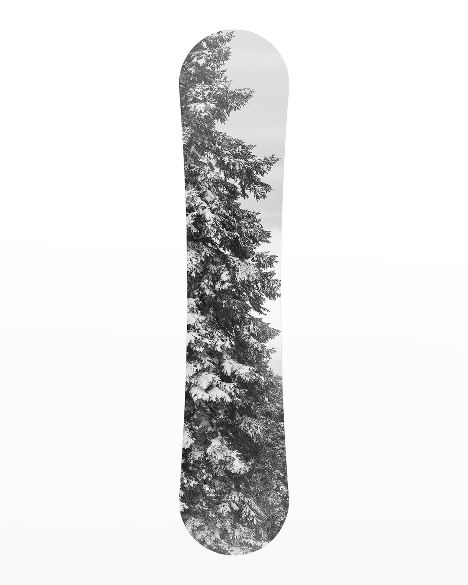 "Snowboard Lift I" Wall Art | Horchow