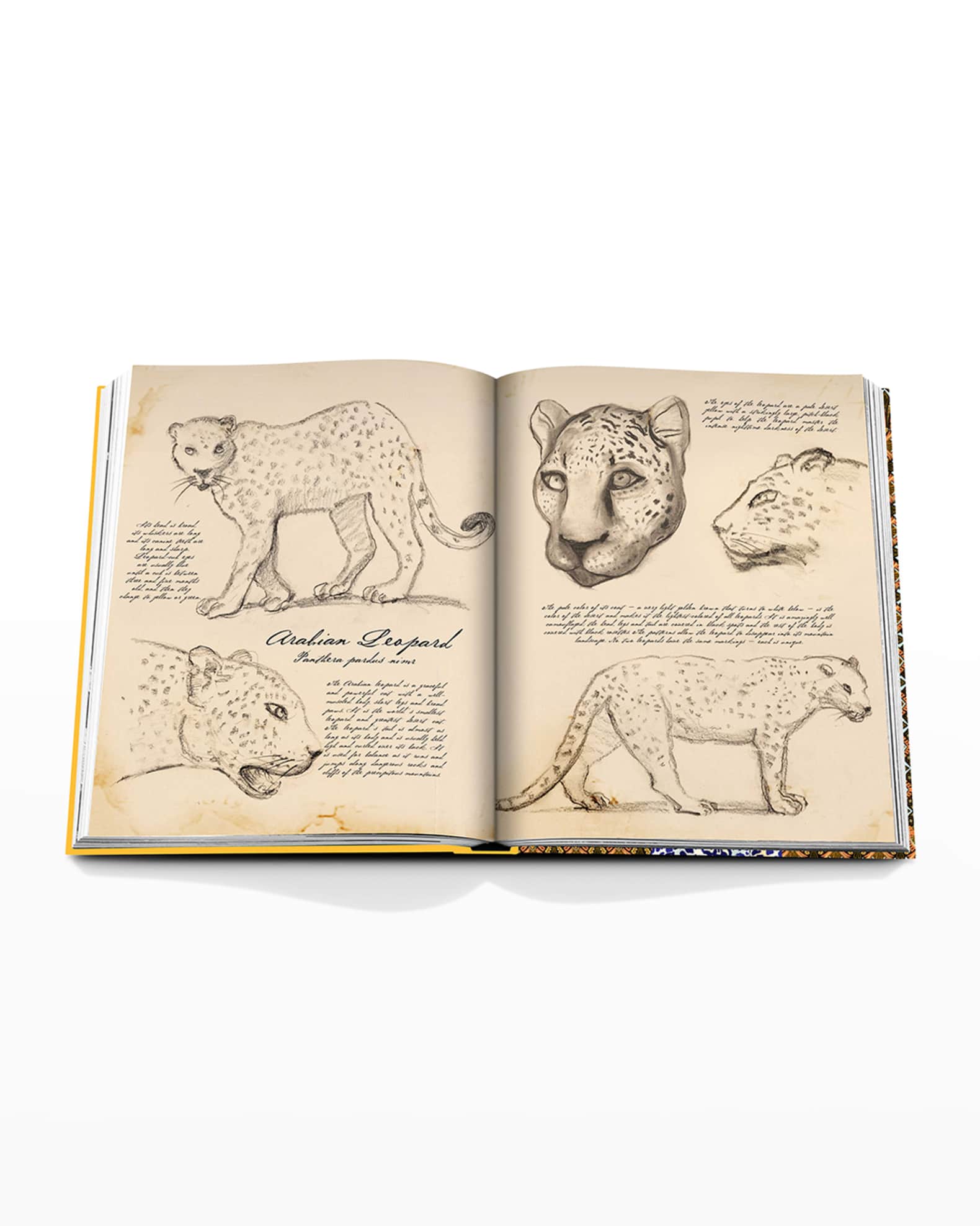 Assouline "Arabian Leopard: Treasures of AlUla" Book by Andrew Spalton ...