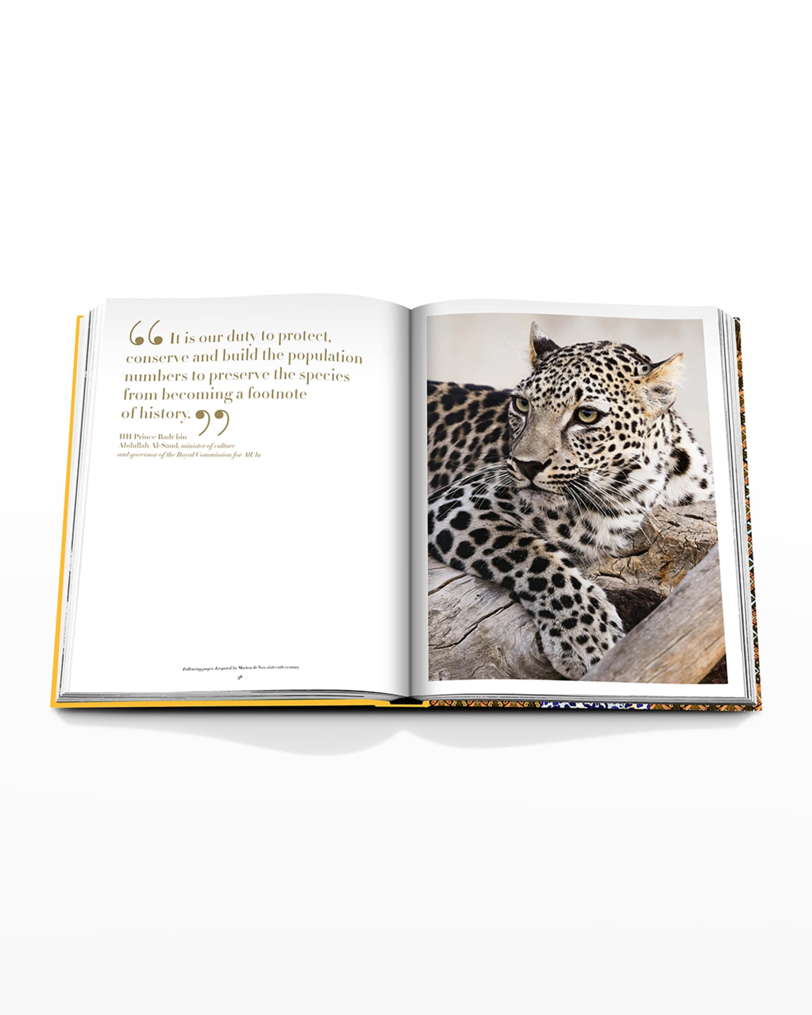 Assouline "Arabian Leopard: Treasures of AlUla" Book by Andrew Spalton ...