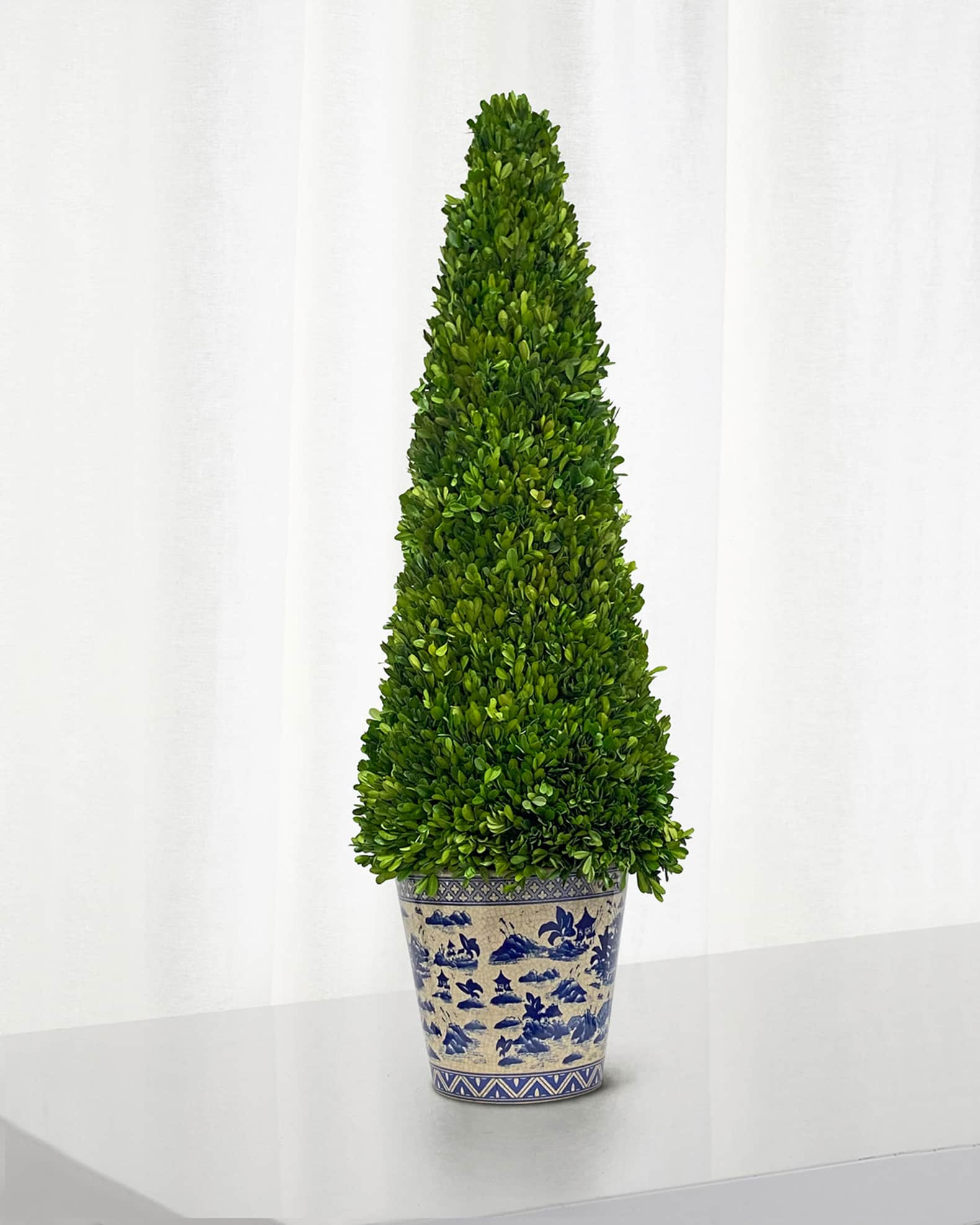 Winward Home Boxwood Tall Topiary | Horchow