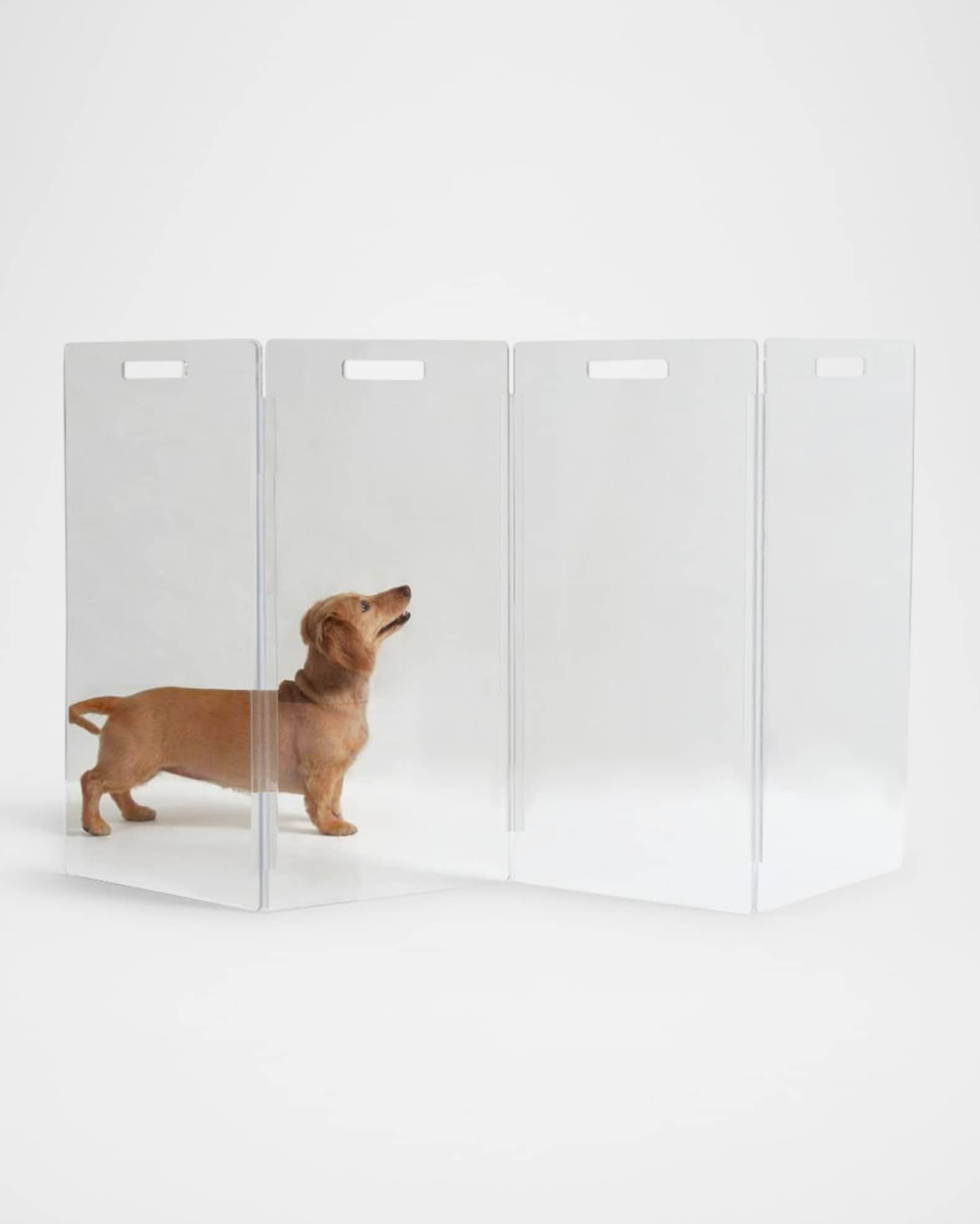 HIDDIN Clear Freestanding Pet Gate Zig Zag, 4-Panel | Horchow