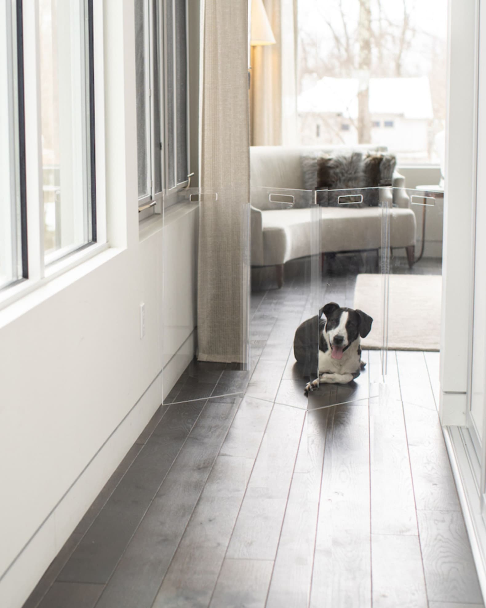 HIDDIN Clear Freestanding Pet Gate Zig Zag, 4-Panel | Horchow