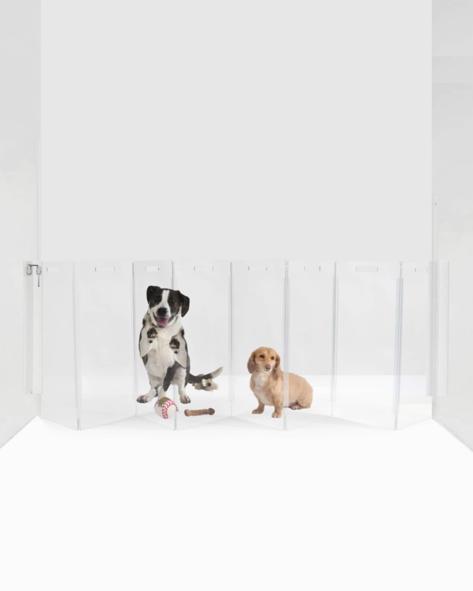 HIDDIN Wall Mounted Clear Pet Gate Zig Zag, 8-Panel | Horchow