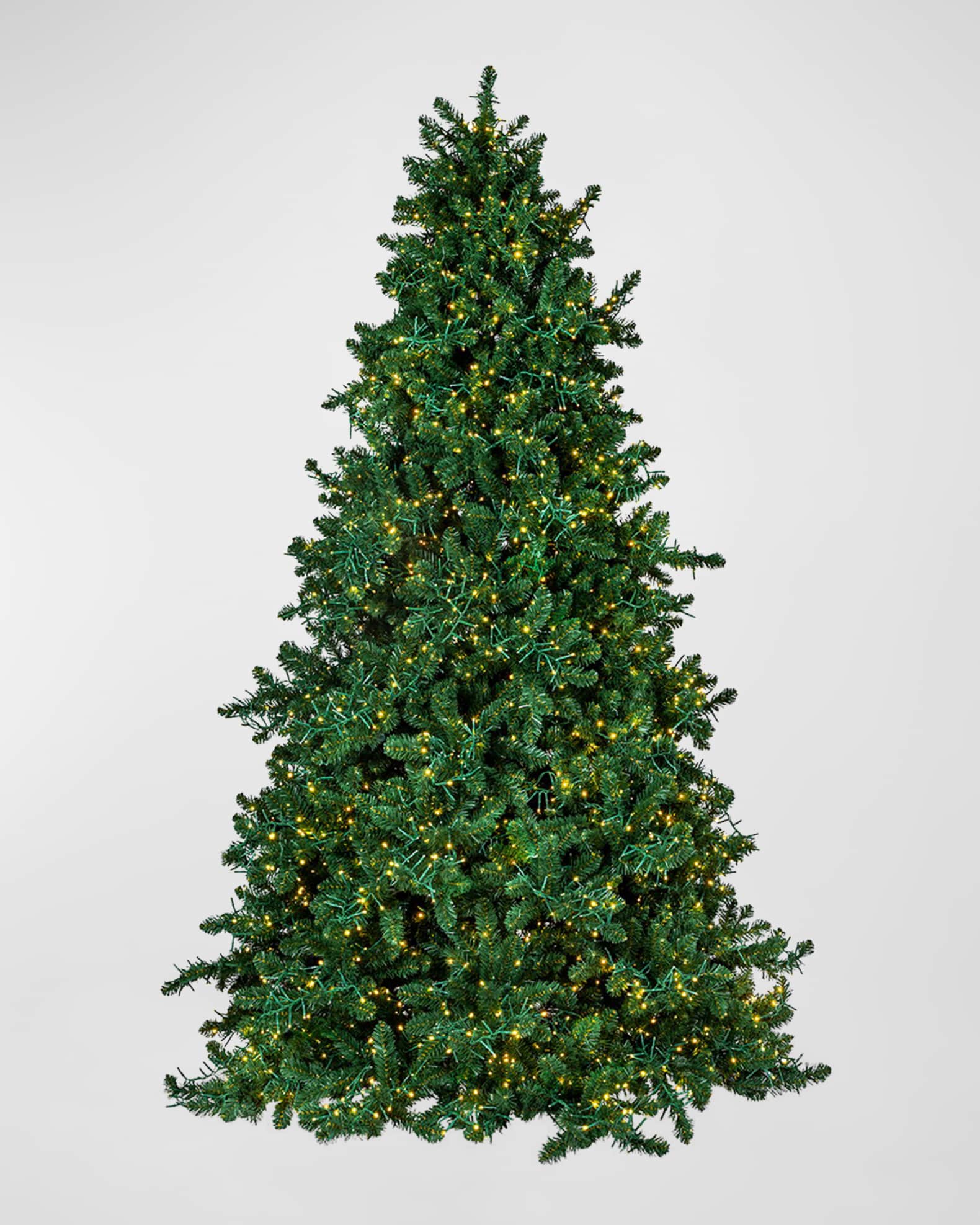 Barcana Royal Majestic Pine Pre-Lit Christmas Tree w/ Cluster Warm ...