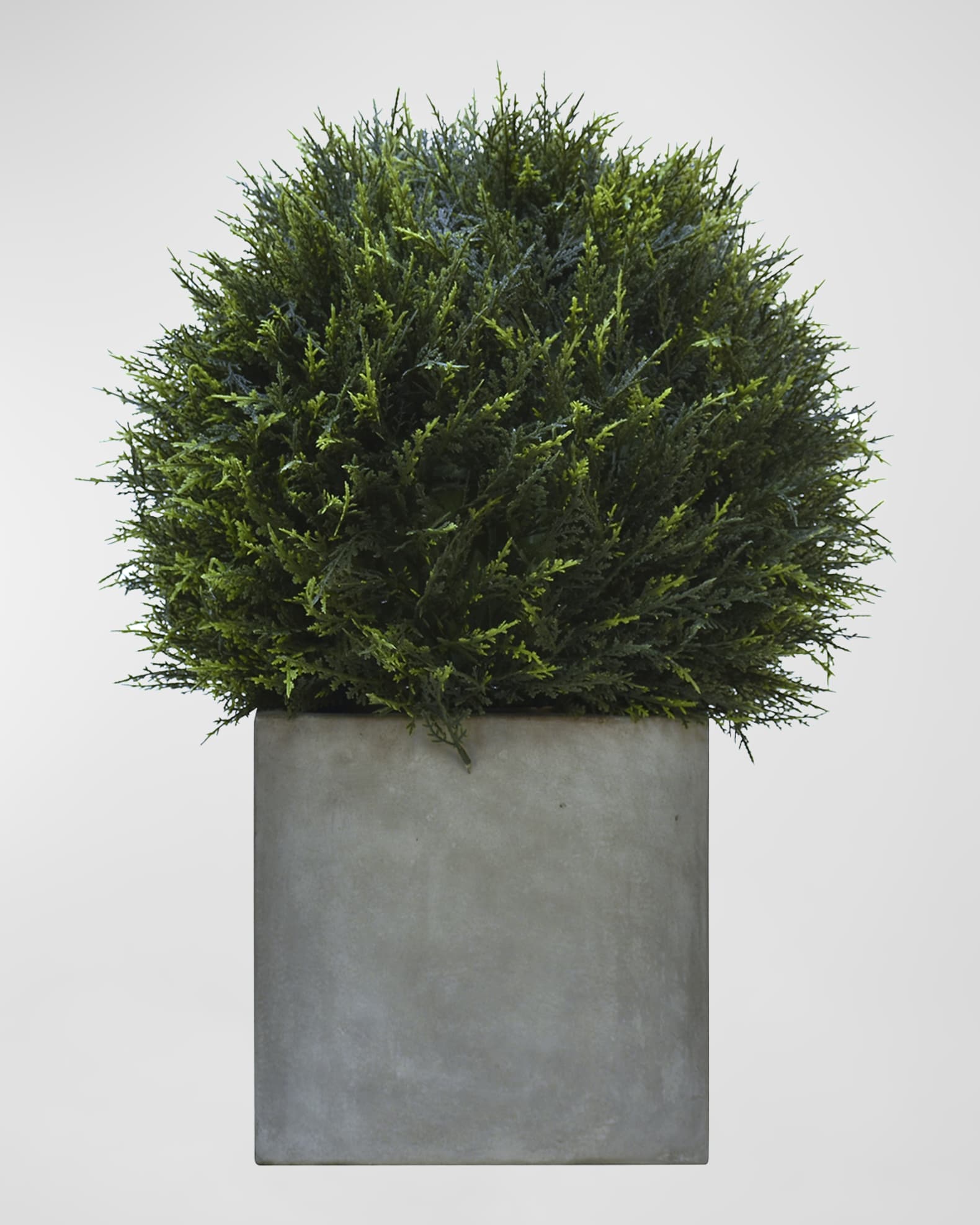 NDI Cypress Ball Topiary in Concrete Planter | Horchow