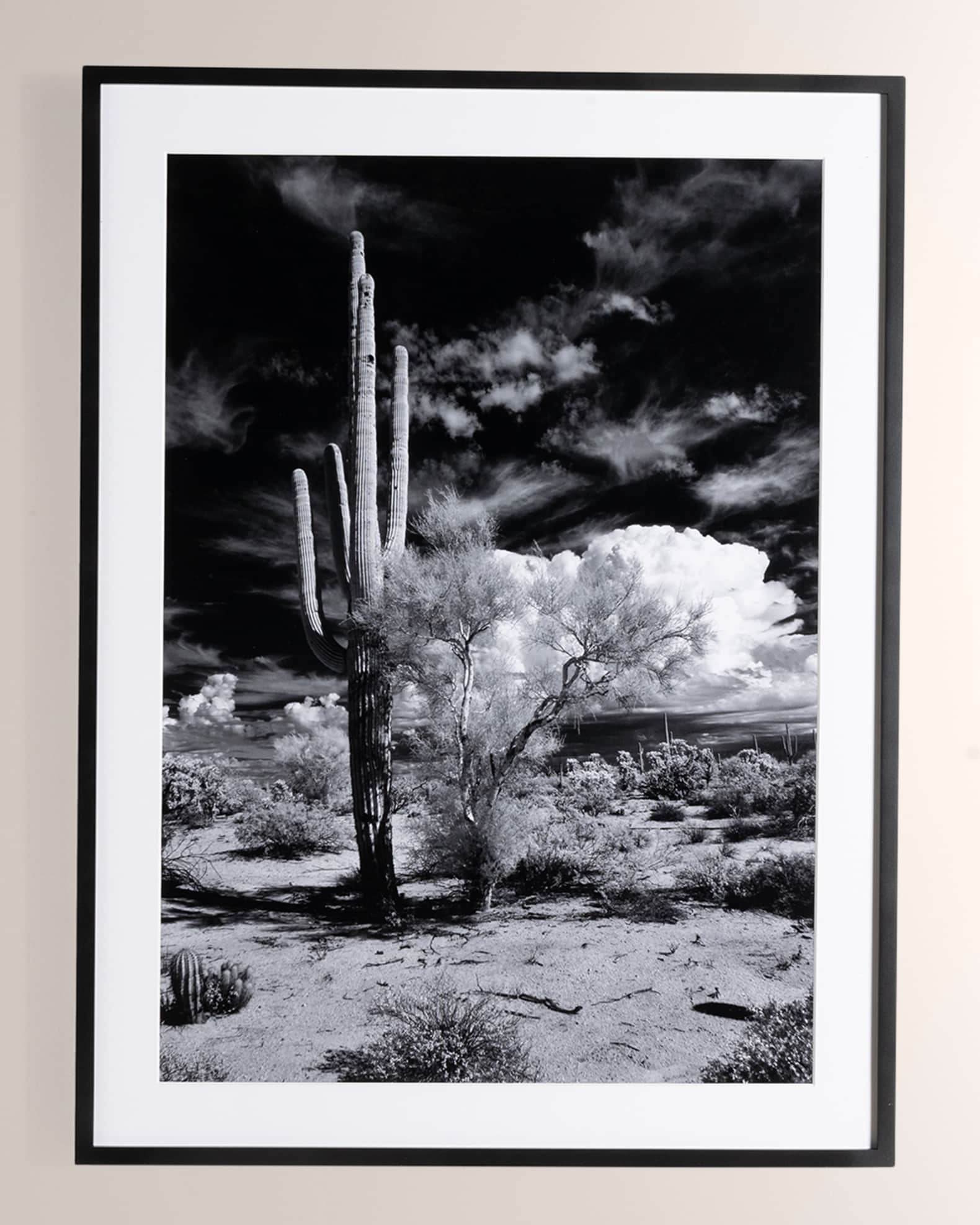 Four Hands "Sonoran Desert" Photography Art Print | Horchow