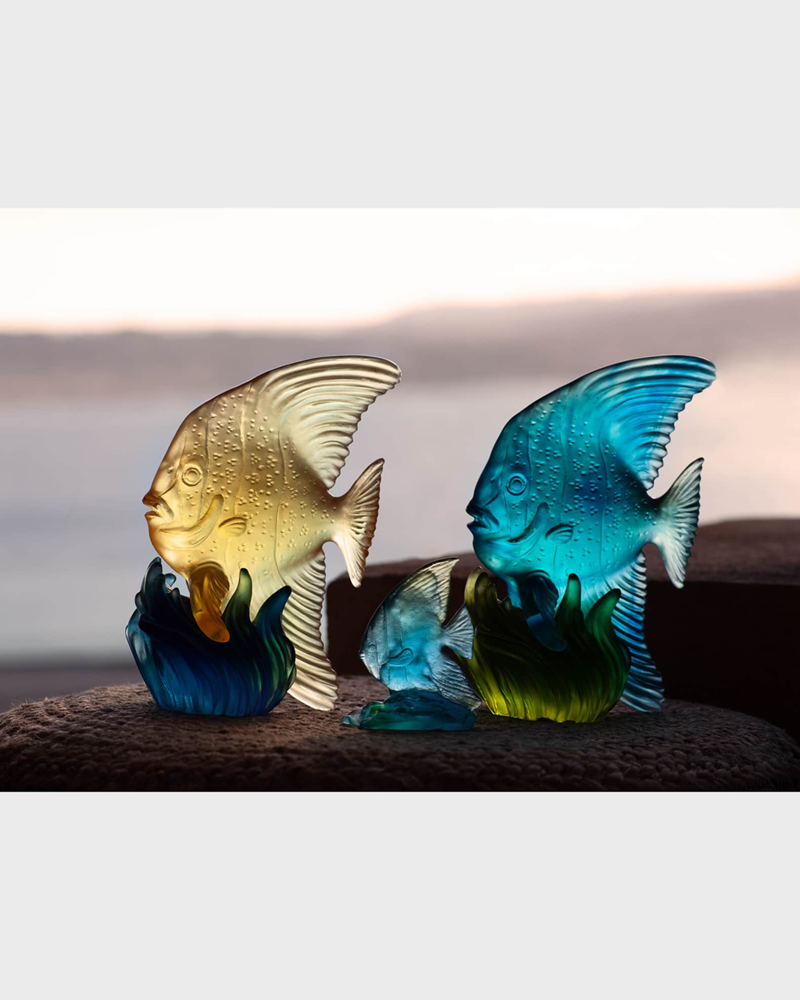 Daum Maya Small Platax Fish | Horchow