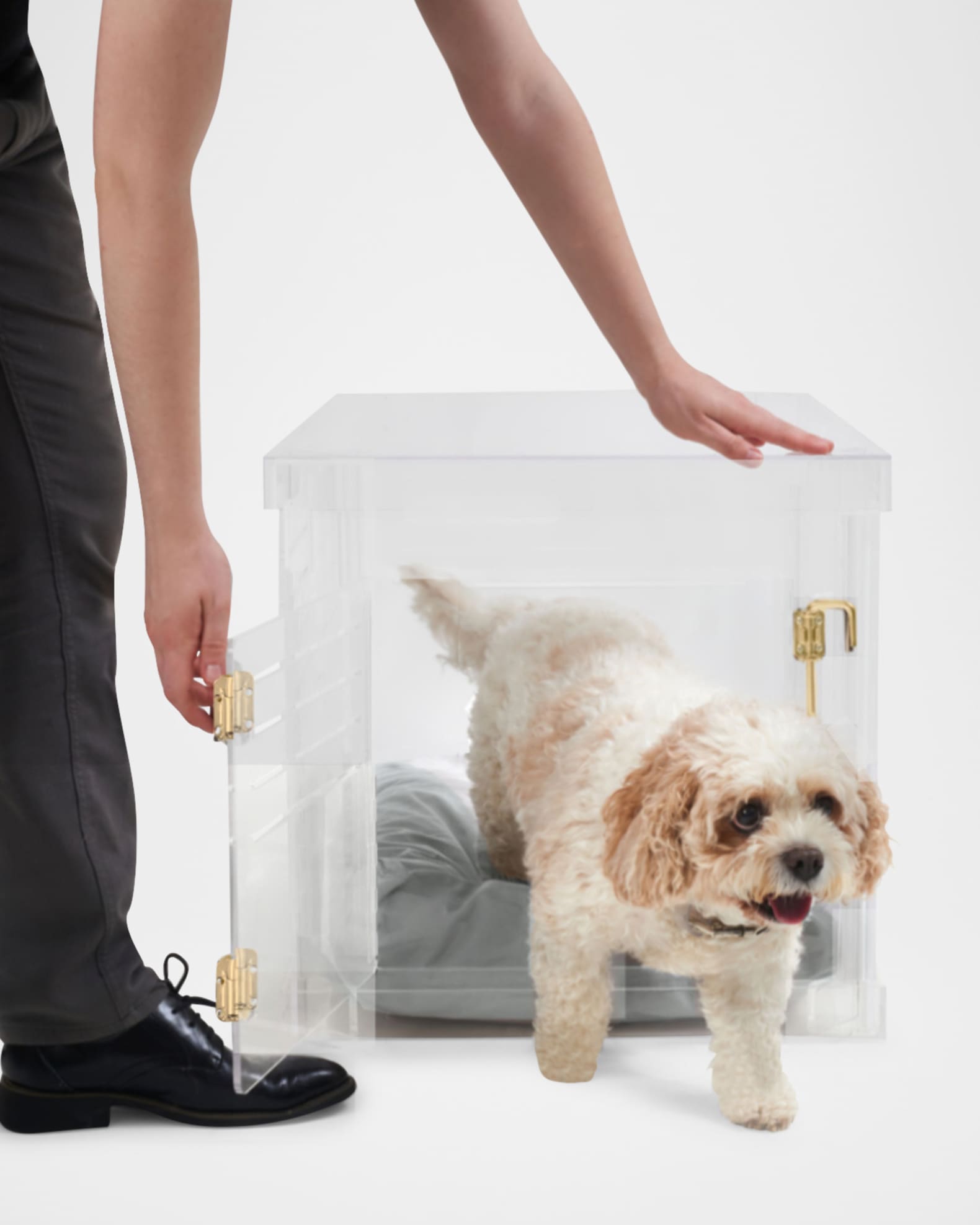 HIDDIN Small Clear View Pet Crate with Golden Latches | Horchow