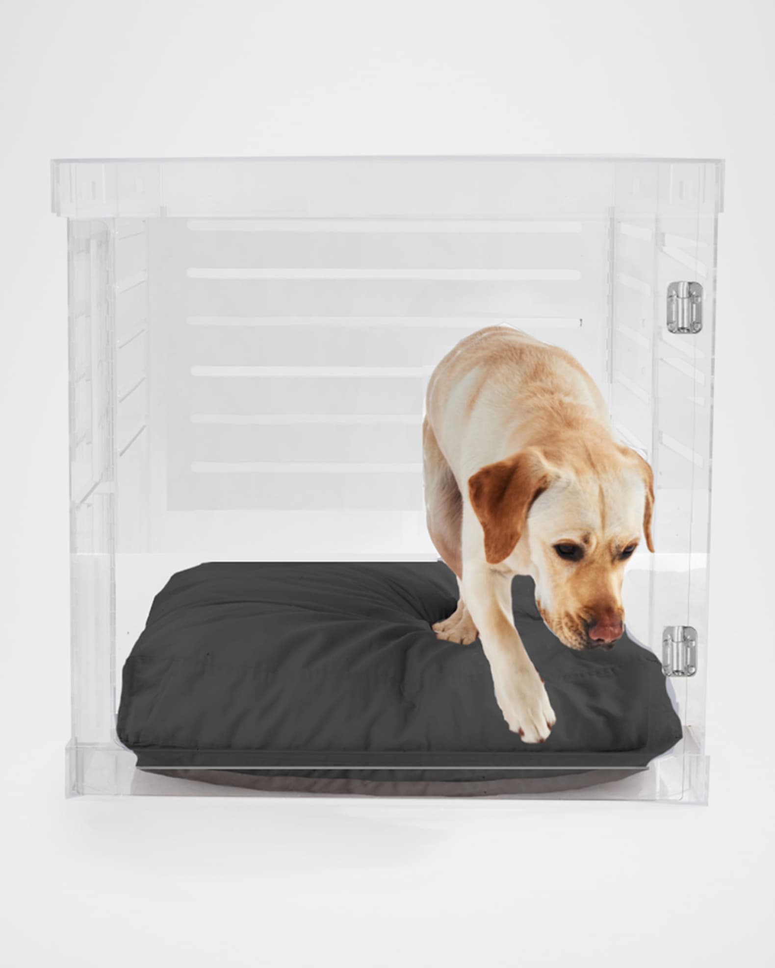 HIDDIN Large Clear View Pet Crate with Silver Latch | Horchow