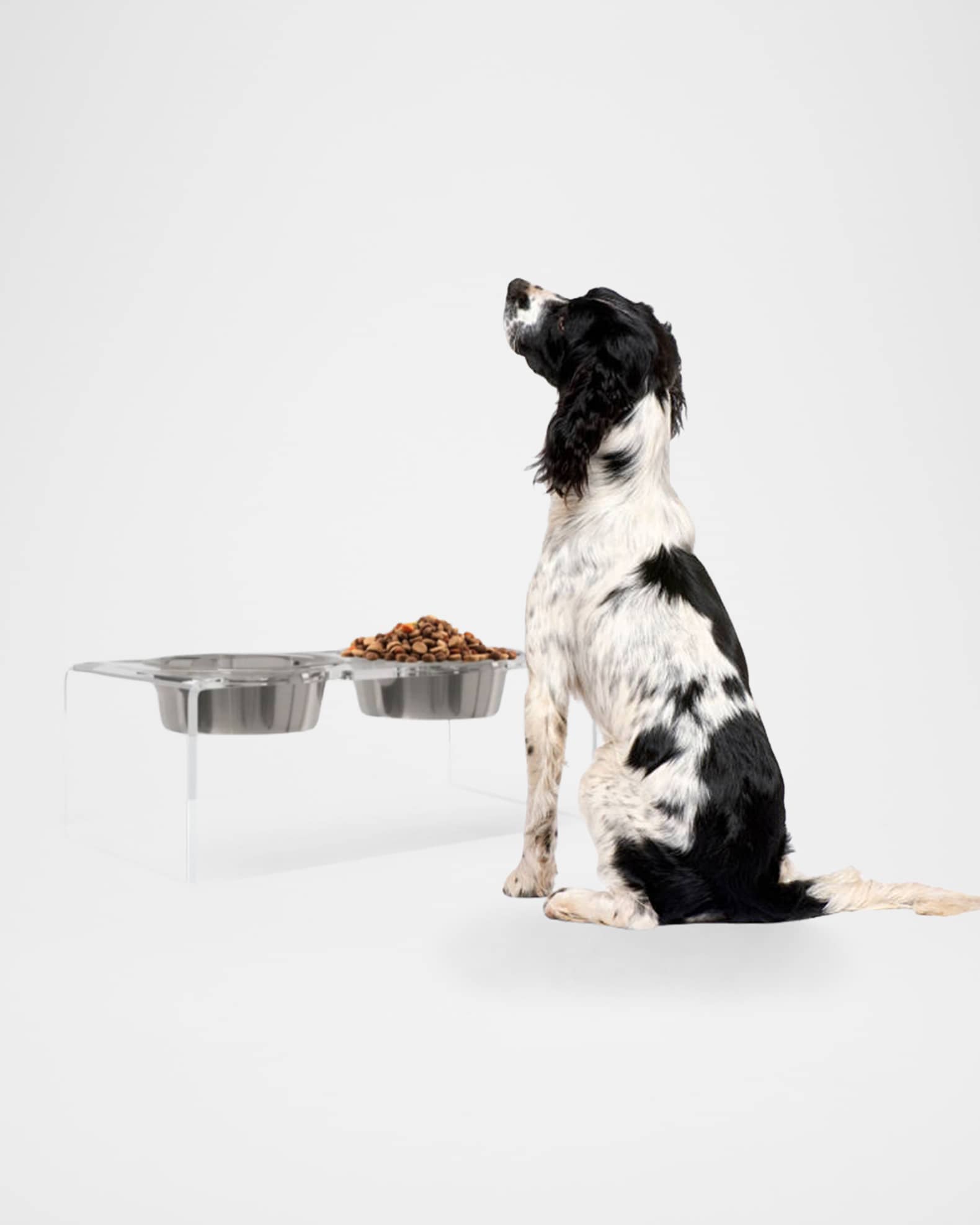 HIDDIN Medium Clear Double Bowl Pet Feeder, 2 Quart | Horchow