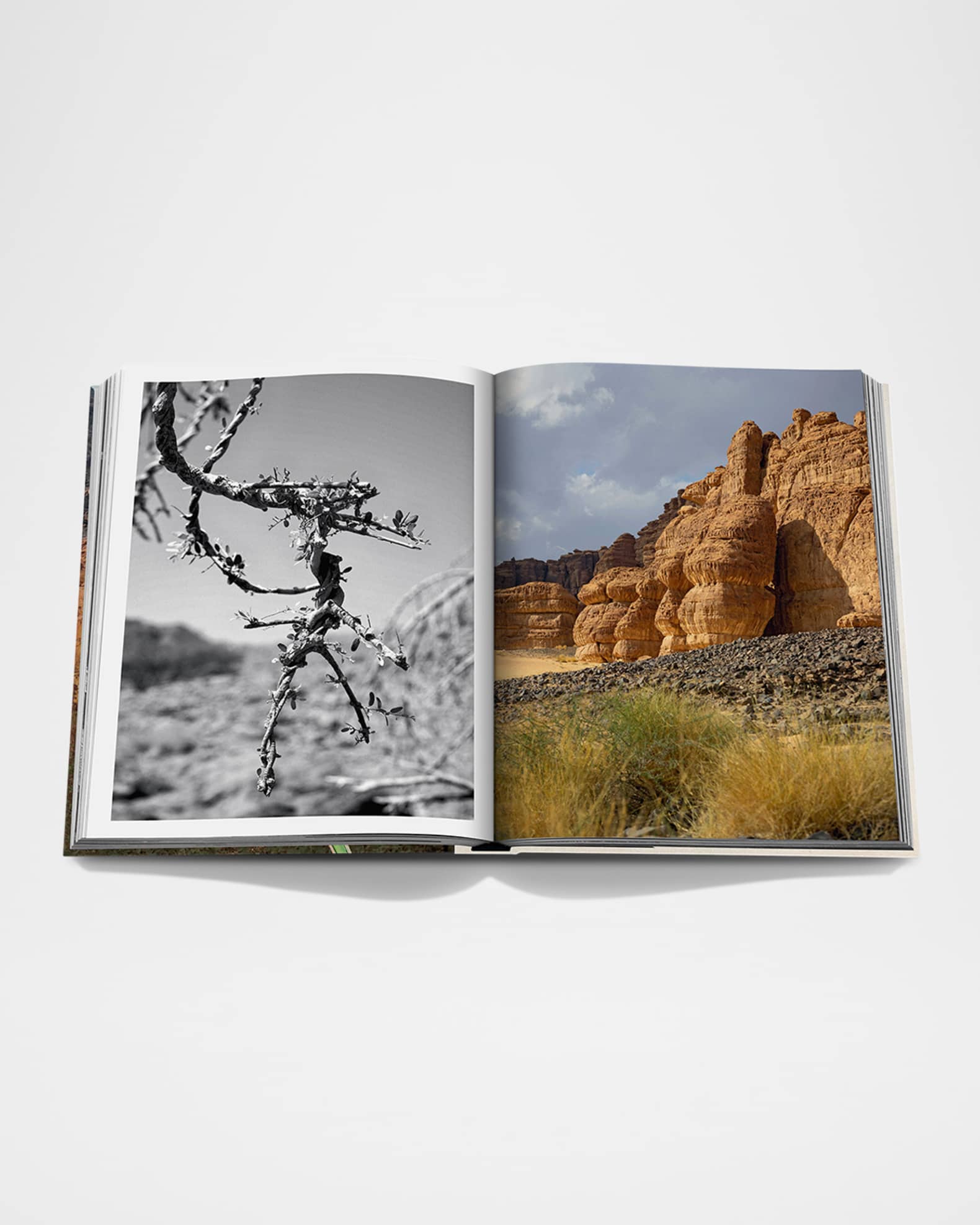 Assouline "AlUla Flora: A Botanical Treasure" Book by Abdulaziz Assaeed ...