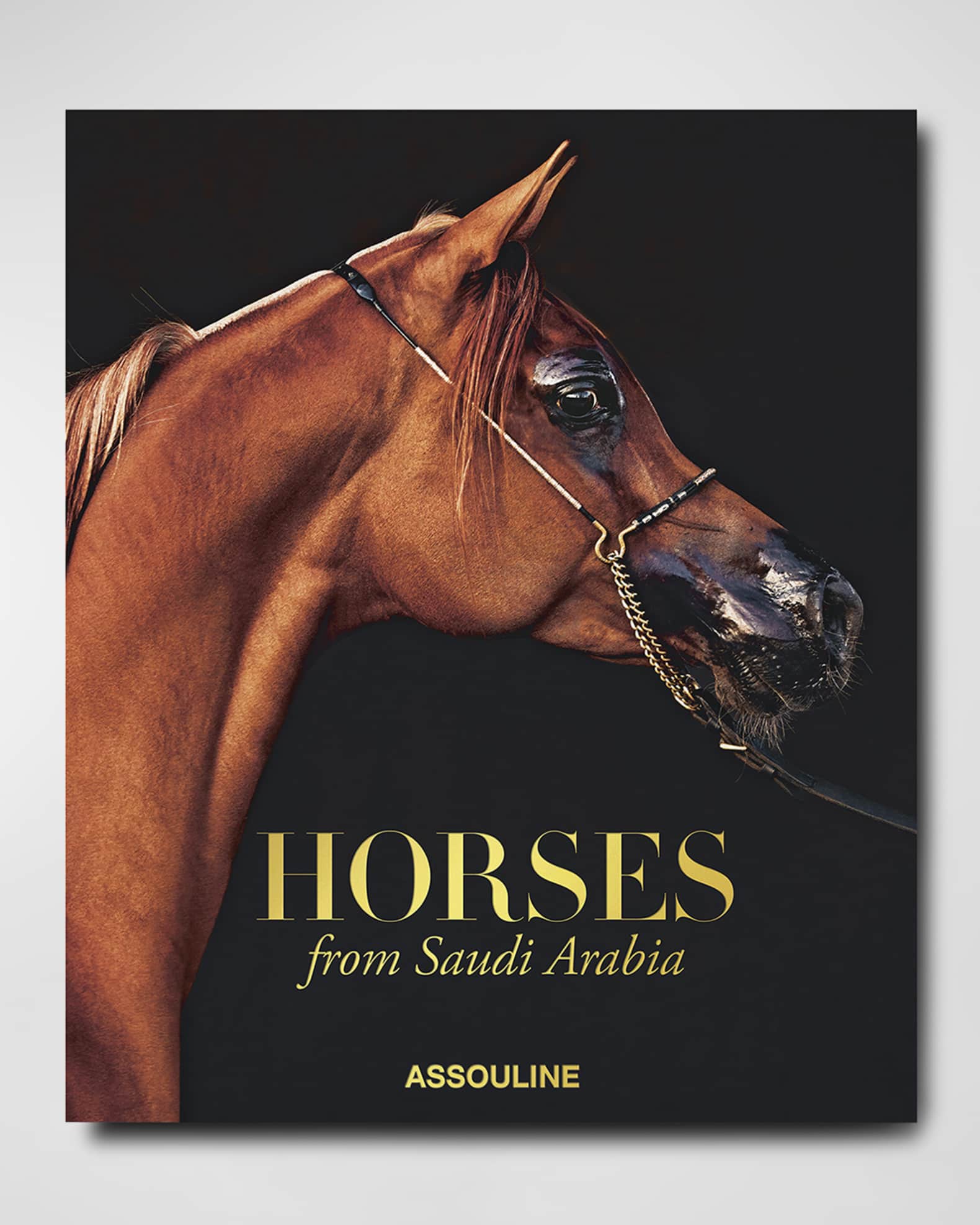 Assouline "Horses from Saudi Arabia" Book by Debbie Burt | Horchow