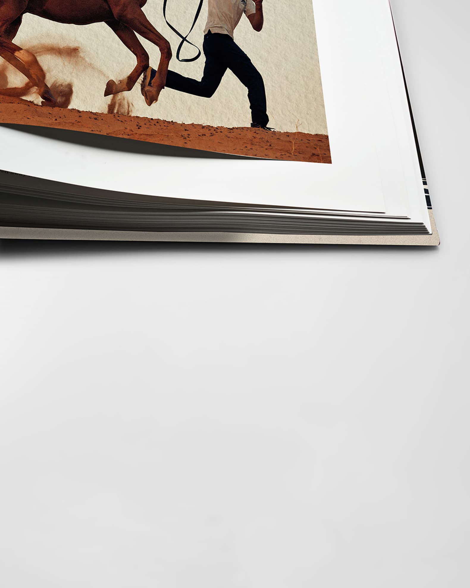 Assouline "Horses from Saudi Arabia" Book by Debbie Burt | Horchow