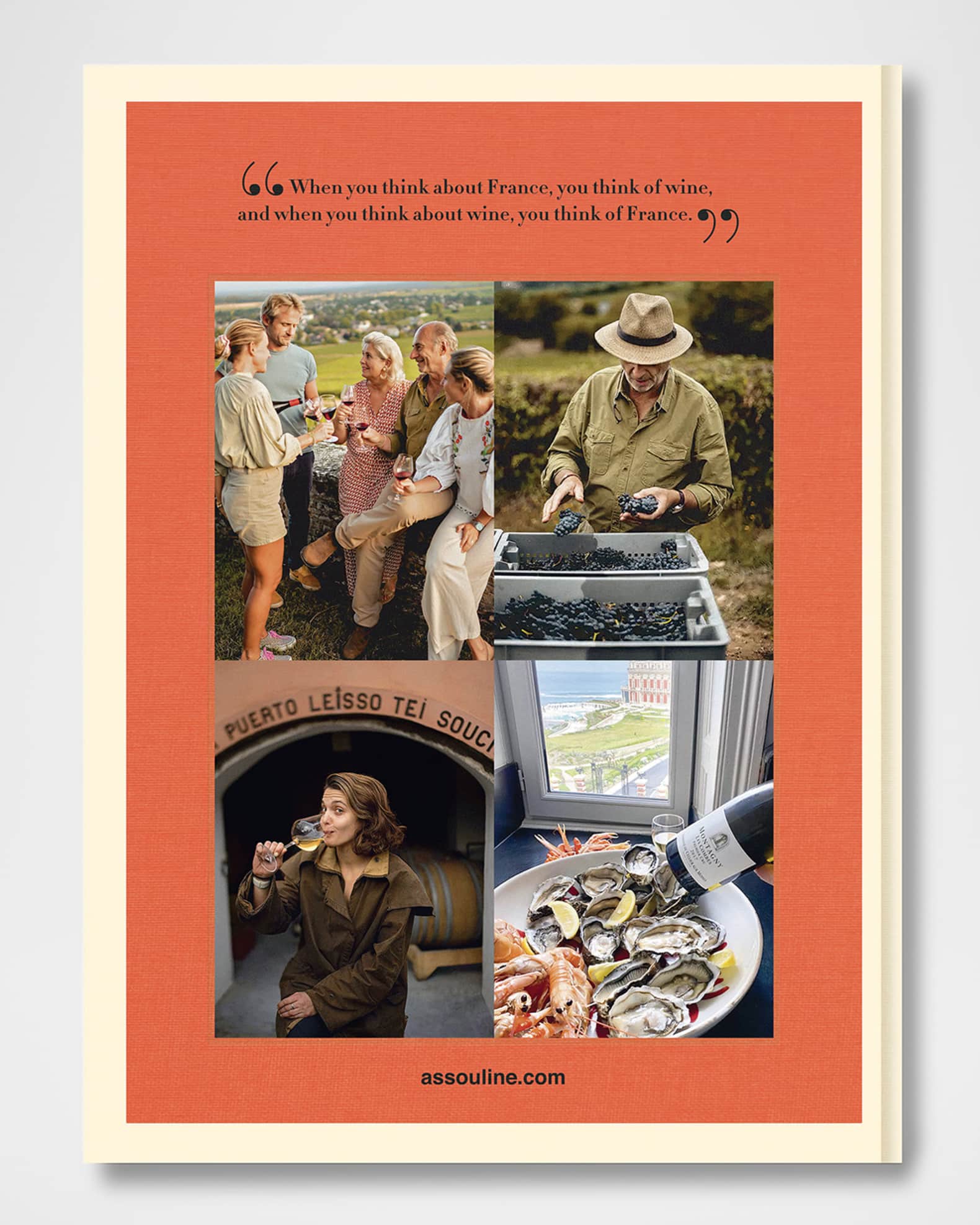 Assouline "Wine & Travel France" Book by Enrico Bernardo | Horchow