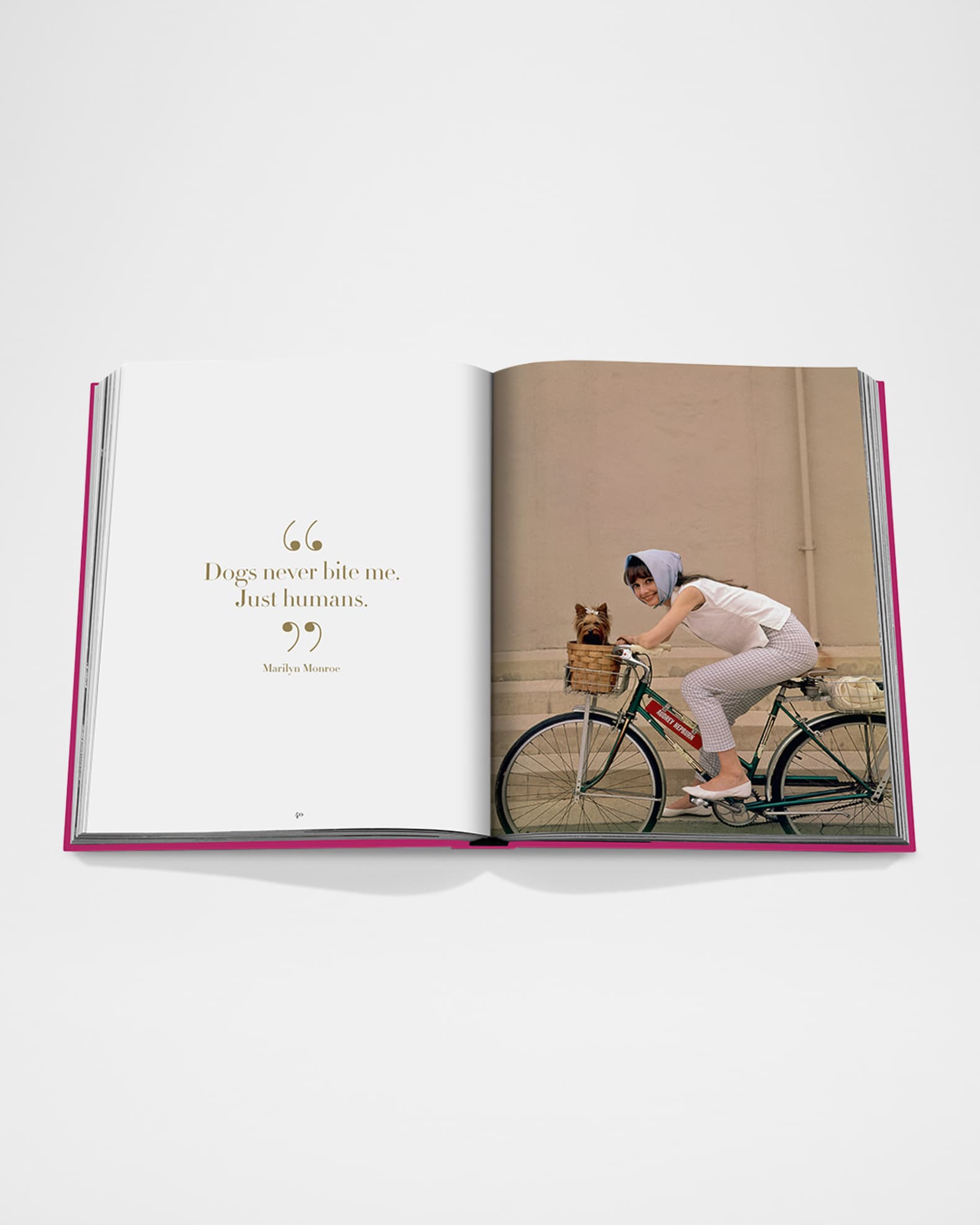 Assouline "Chic Dogs" Book by Robert Williams | Horchow