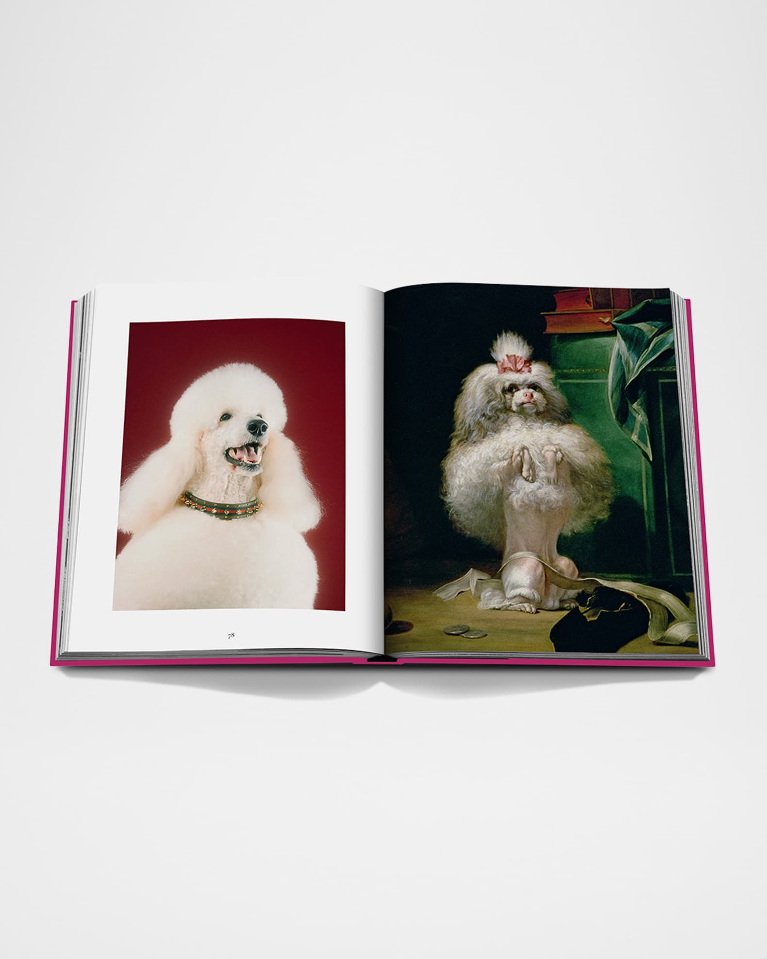 Assouline "Chic Dogs" Book by Robert Williams | Horchow