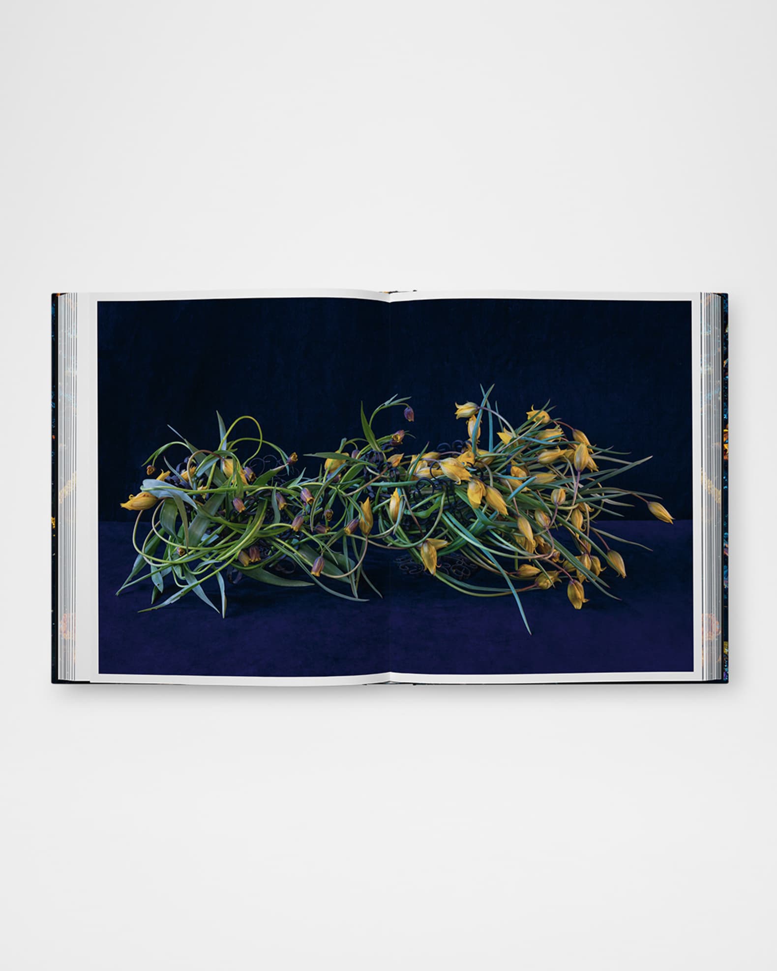 Phaidon Press "Emily Thompson Flowers" Book by Emily Thompson | Horchow