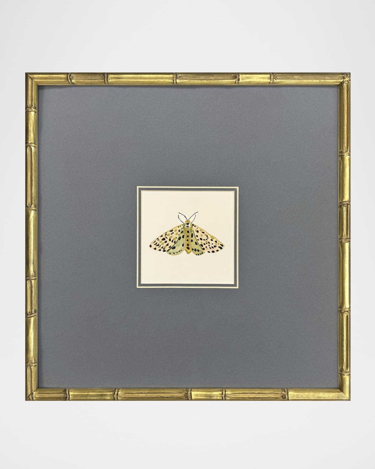 Paragon Decors "Pastel Moths I" Framed Giclees by Farida Zaman, Set of ...