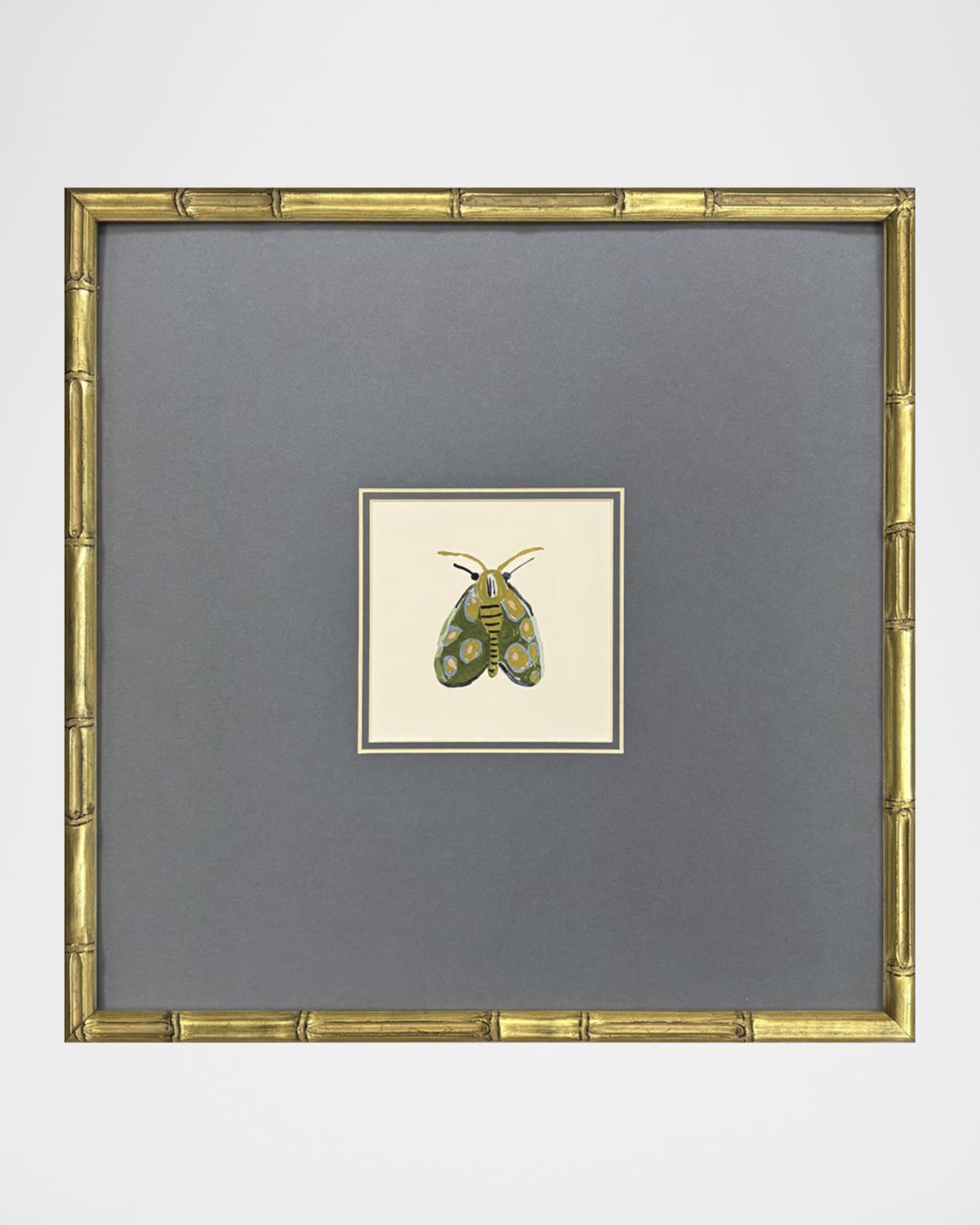 Paragon Decors "Pastel Moths II" Framed Giclees by Farida Zaman, Set of ...